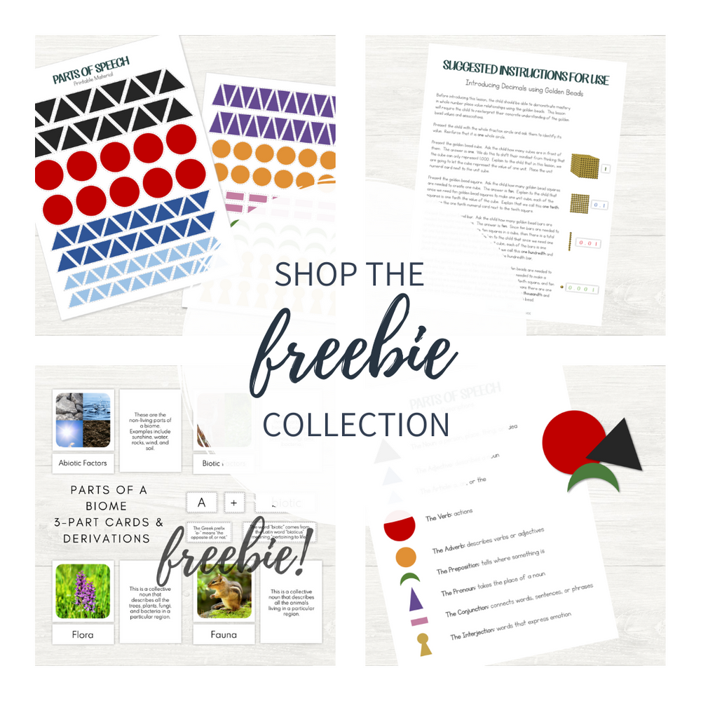 Collections – themodernmontessoriguide