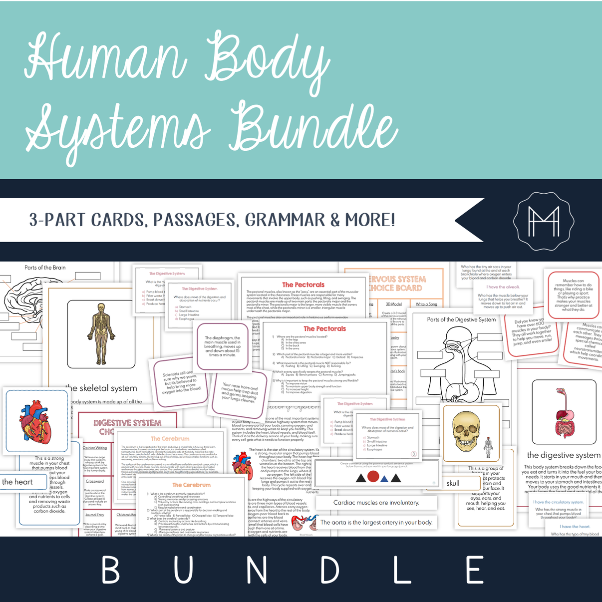 Body Systems Bundle – themodernmontessoriguide