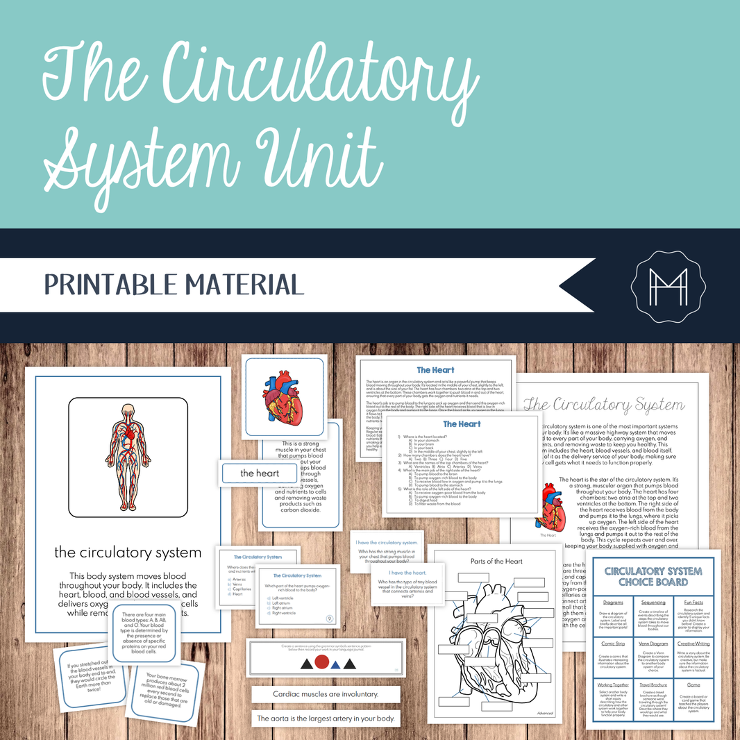 Anatomy Materials – themodernmontessoriguide