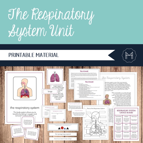 The Respiratory System Unit – themodernmontessoriguide