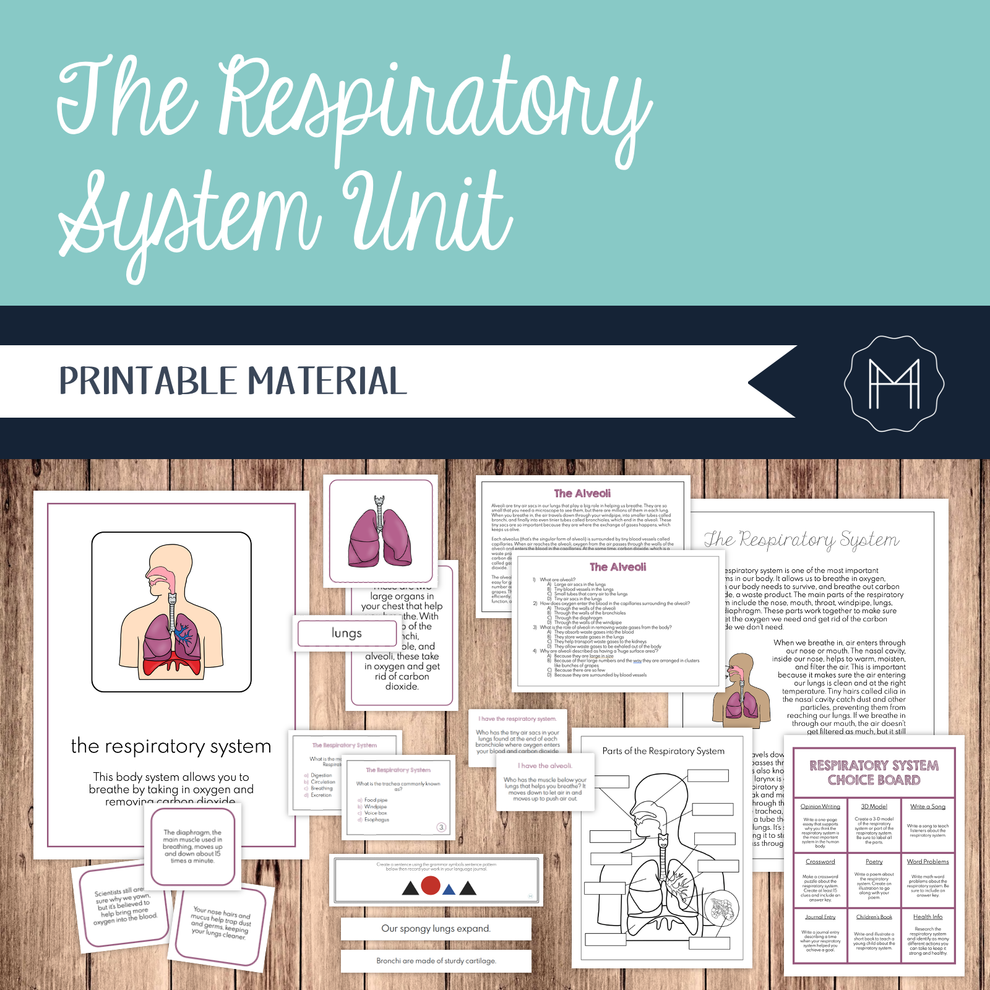 The Respiratory System Unit – themodernmontessoriguide