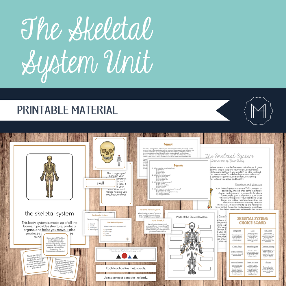 The Skeletal System Unit – themodernmontessoriguide
