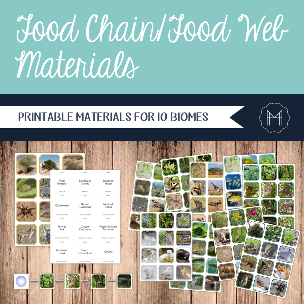 9-12 Materials – themodernmontessoriguide