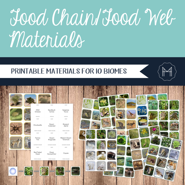 Food Chain/Food Web Materials - Includes 10 Biomes ...