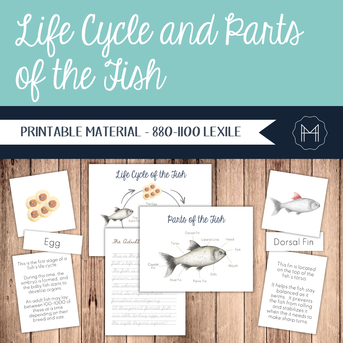 Fish Life Cycle