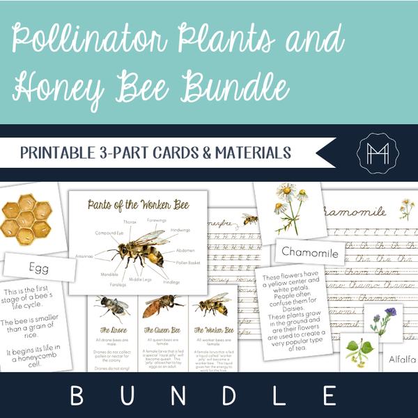Pollinator Plants and Honey Bee Bundle – themodernmontessoriguide