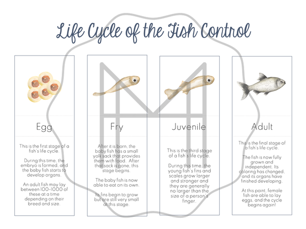 Life Cycle and Parts of the Fish - Ages 8-12 – themodernmontessoriguide