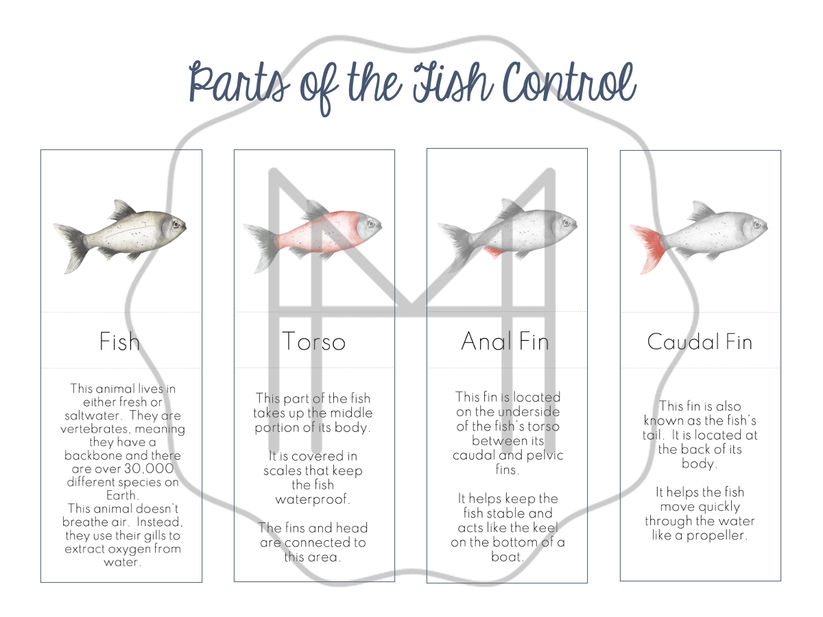 Life Cycle and Parts of the Fish - Ages 8-12 – themodernmontessoriguide